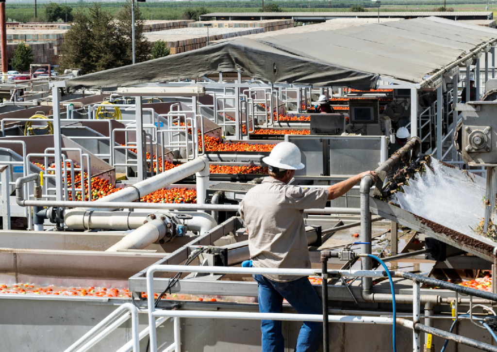 Morningstar Packing Company - Rex Moore