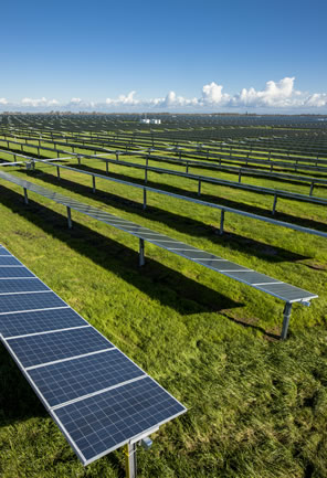 Google Solar Farm - Rex Moore